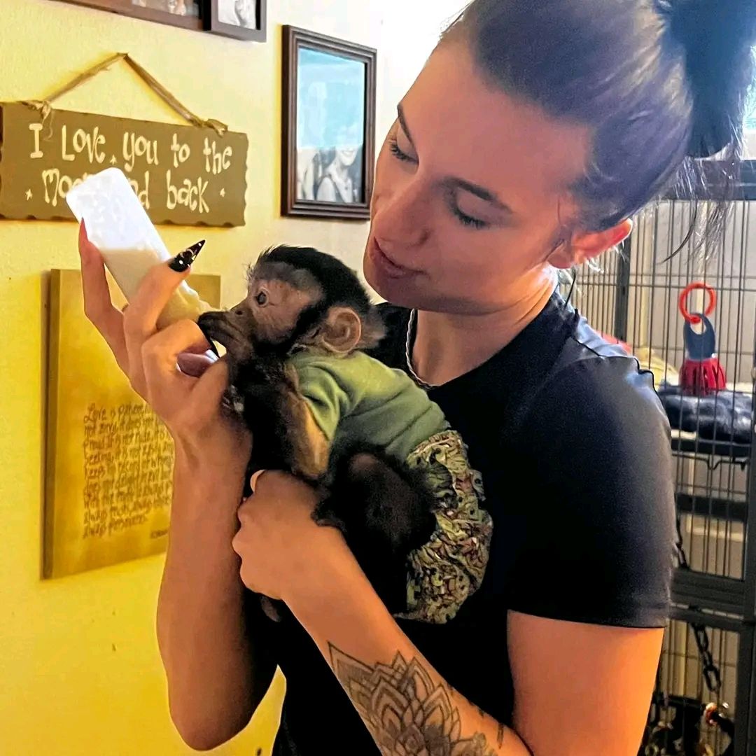 About us - ADORABLE MONKEYS